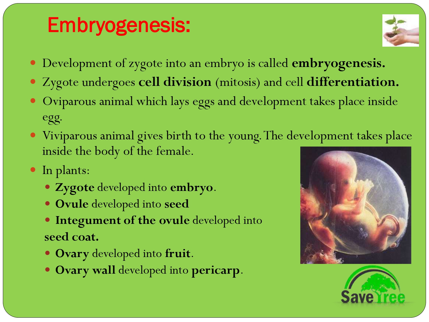 Class 12 Biology Chapter 1 Reproduction In Organism Presentation CBSE class-12-biology-chapter-1-reproduction-in-organism-presentation-cbse