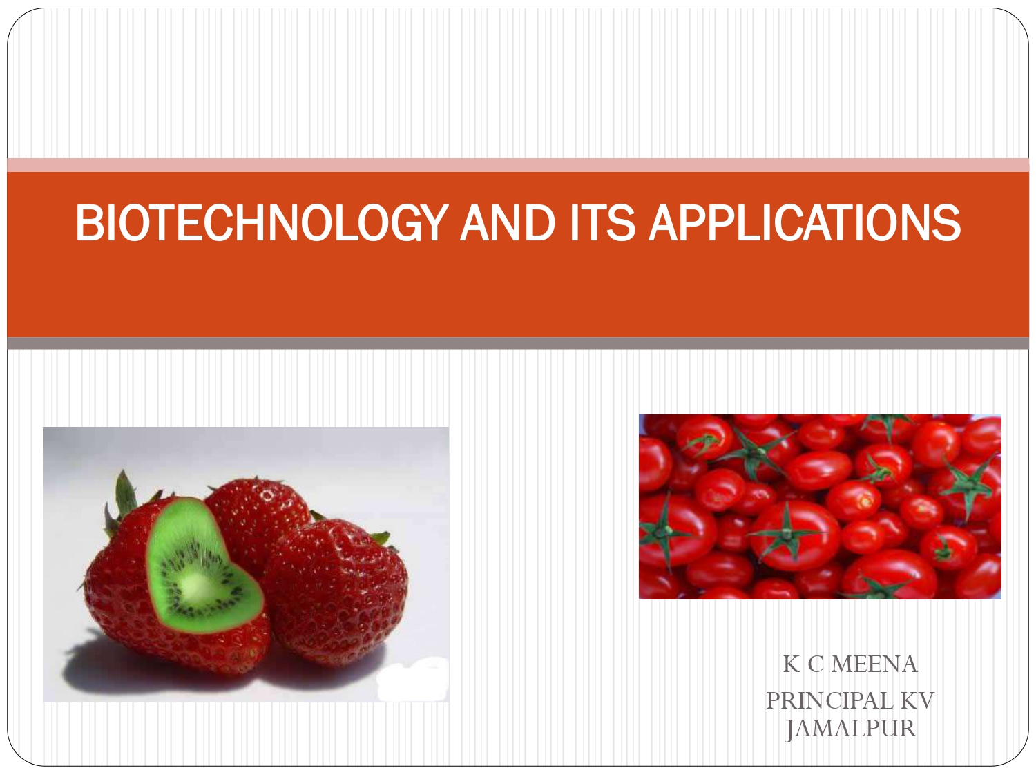 Class 12 Biology Chapter 12 Biotechnology and Its Application ...