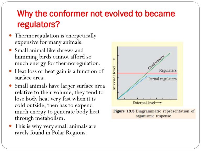 Class 12 Biology Chapter 13 Organism and Population Presentation - CBSE ...