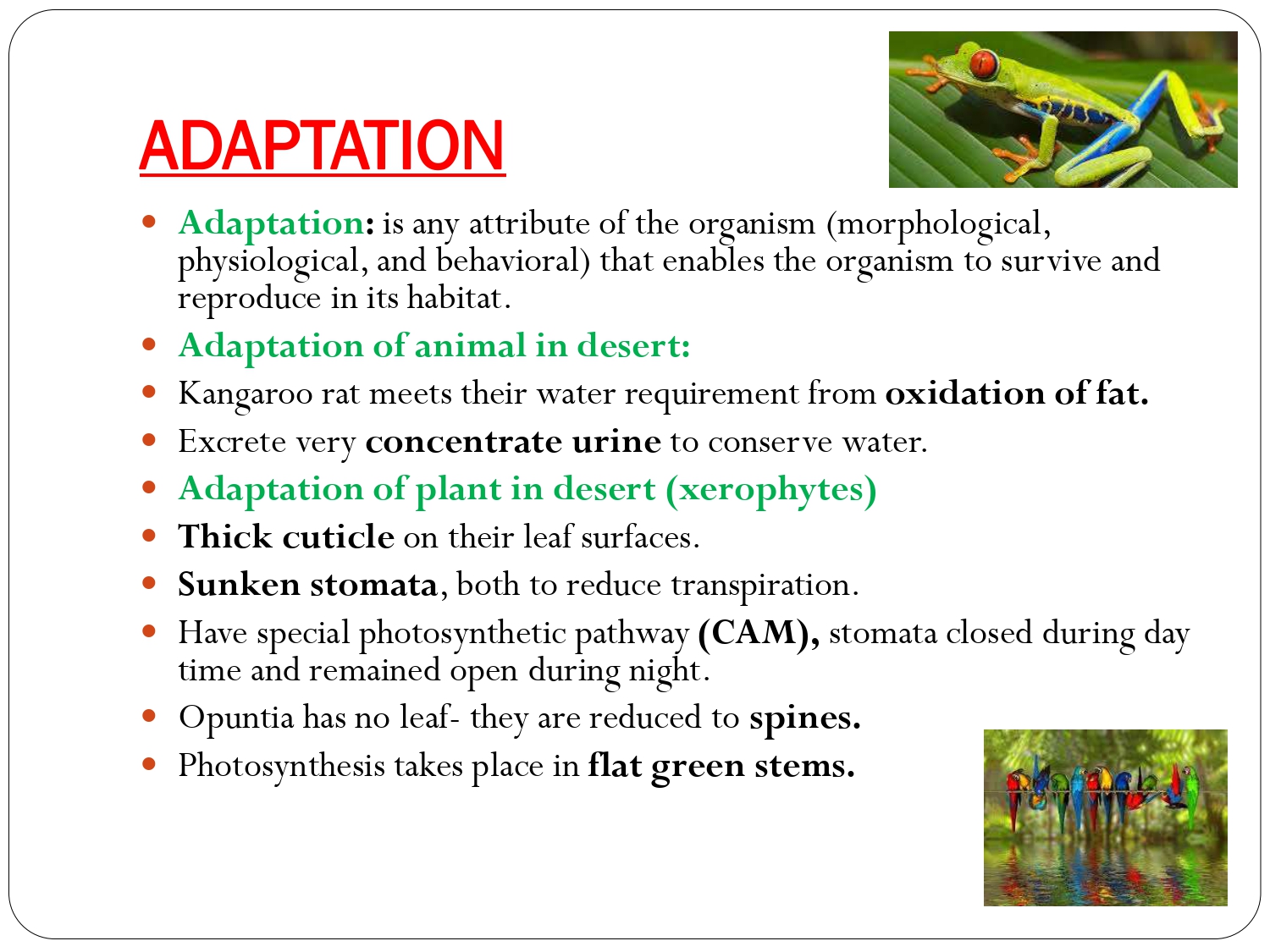 Class 12 Biology Chapter 13 Organism and Population Presentation - CBSE ...