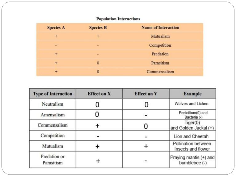 Class 12 Biology Chapter 13 Organism and Population Presentation - CBSE ...