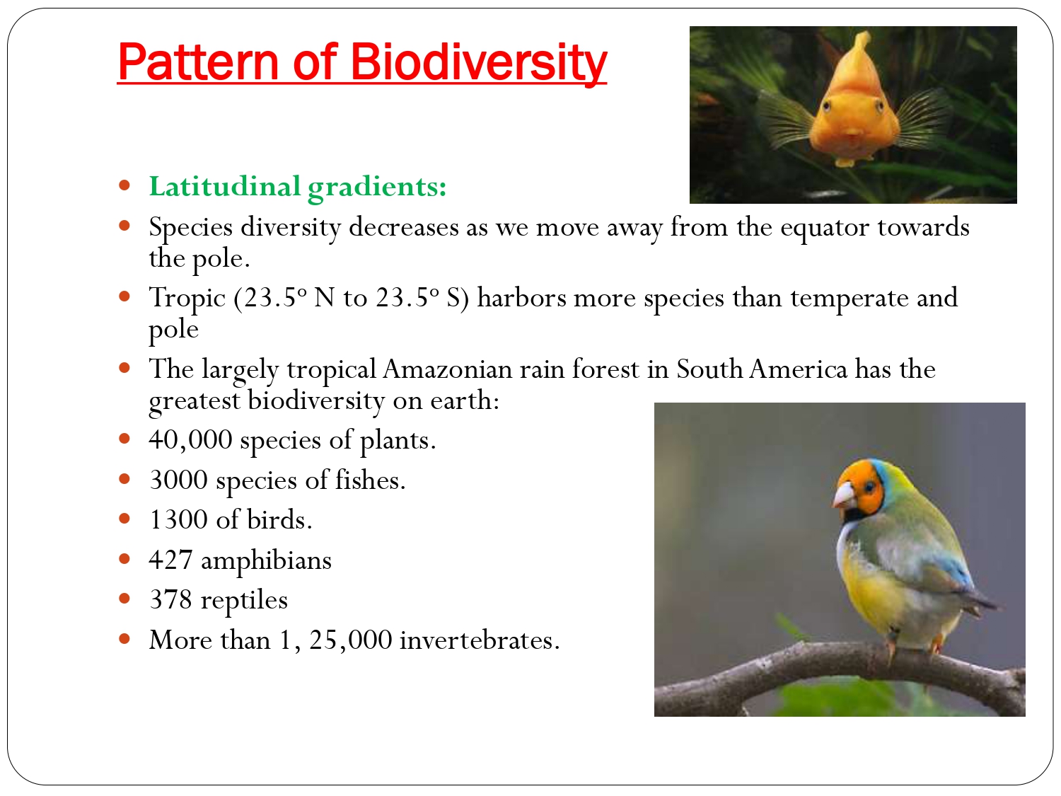 Class 12 Biology Chapter 15 Biodiversity and Conservation Presentation ...