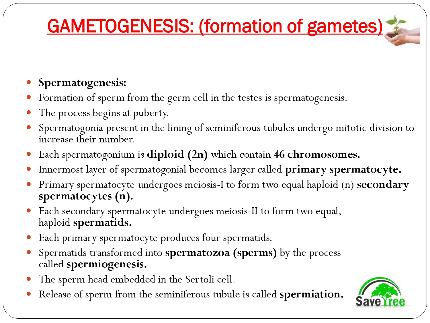 Class 12 Biology Chapter 3 Human Reproduction Presentation - CBSE CONTENT
