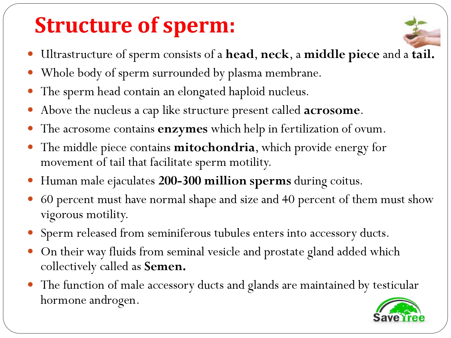 Class 12 Biology Chapter 3 Human Reproduction Presentation - CBSE CONTENT