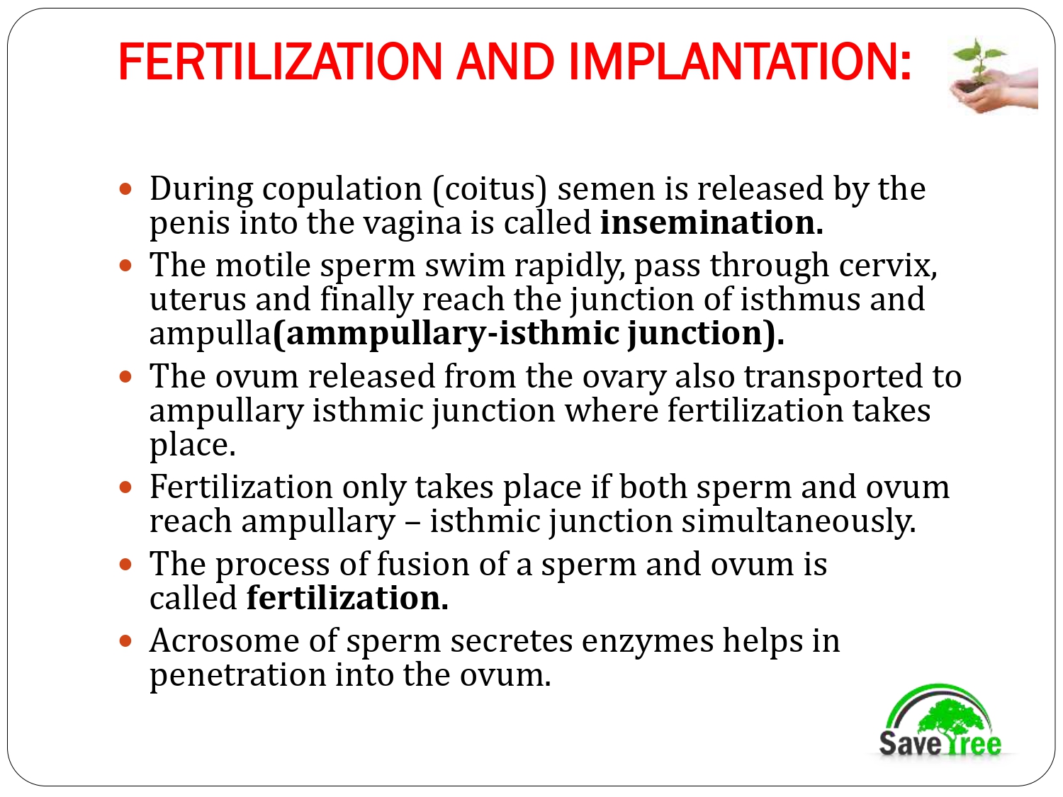 Class 12 Biology Chapter 3 Human Reproduction Presentation - CBSE CONTENT