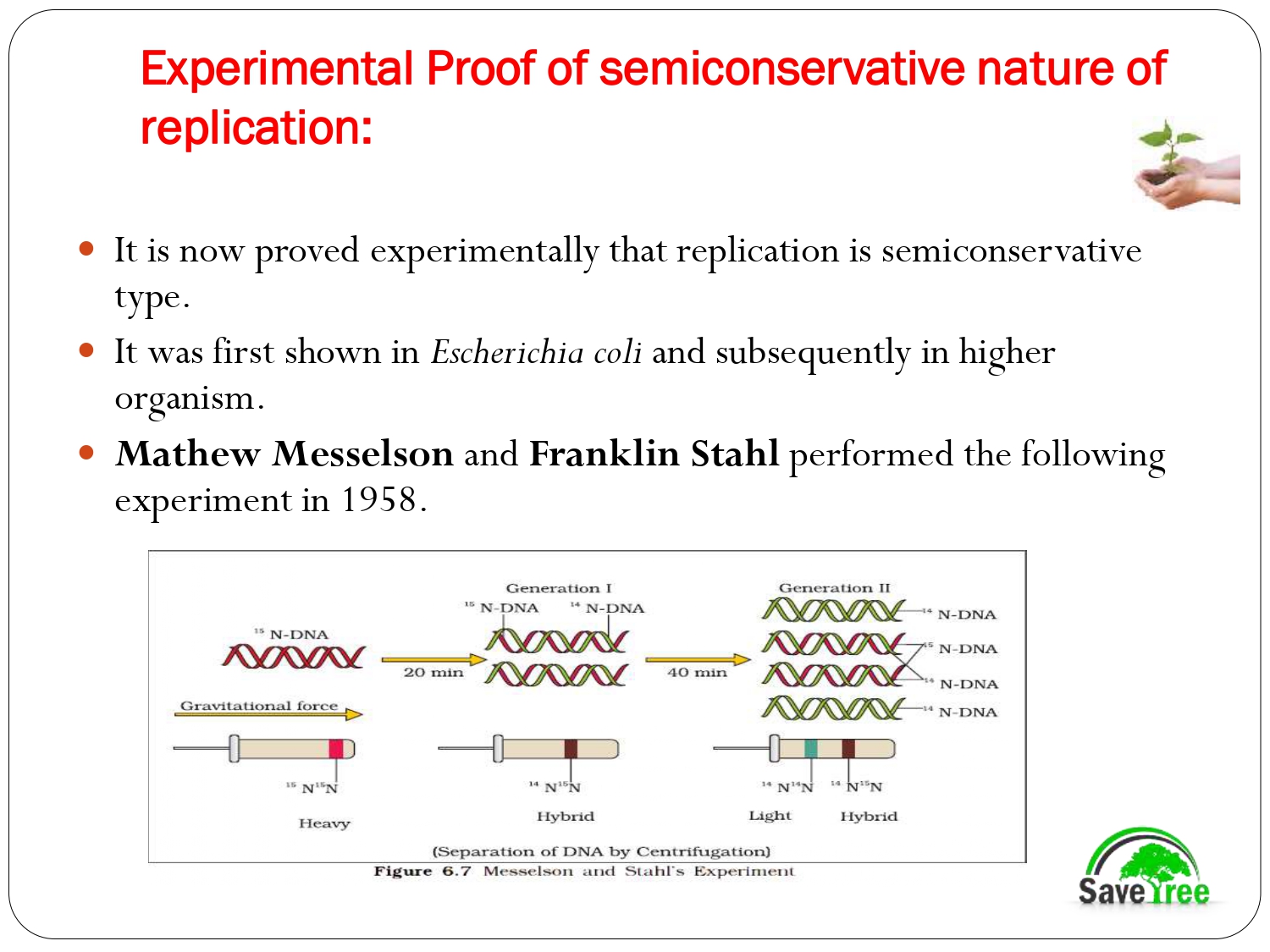 Class 12 Biology Chapter 6 Molecular Basis of Inheritance Presentation ...