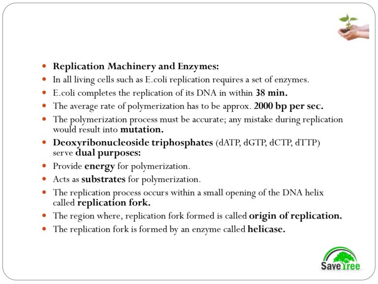Class 12 Biology Chapter 6 Molecular Basis of Inheritance Presentation ...
